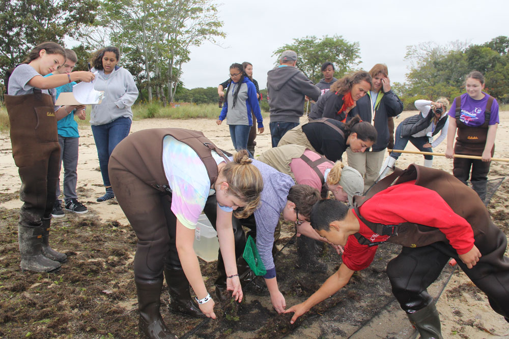 Learning on the Peconic: Students connect class with nature - The ...