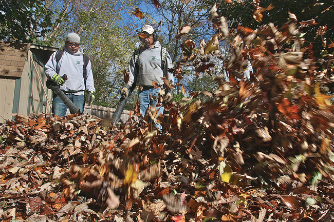Real Estate: A lazy homeowner’s guide to raking - The Suffolk Times ...