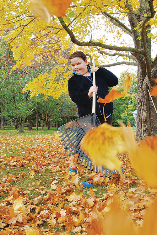 Real Estate: A lazy homeowner’s guide to raking - The Suffolk Times ...
