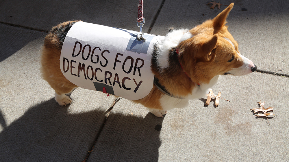 Protestors demonstrate in Riverhead for ‘Nobody is Above the Law’ rally ...