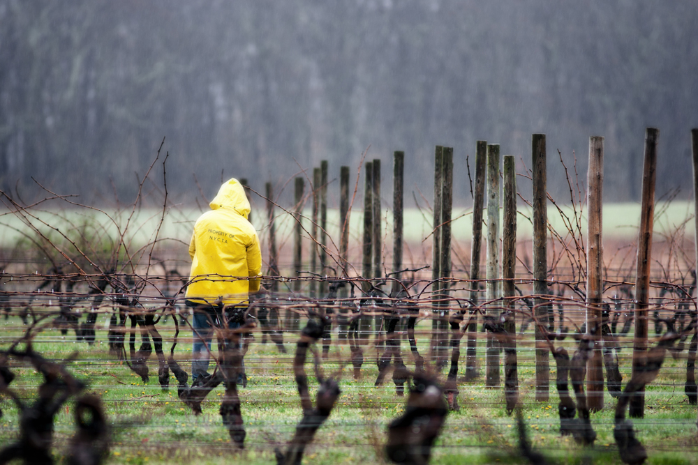 So just how much rain has fallen so far this month? - The Suffolk Times ...
